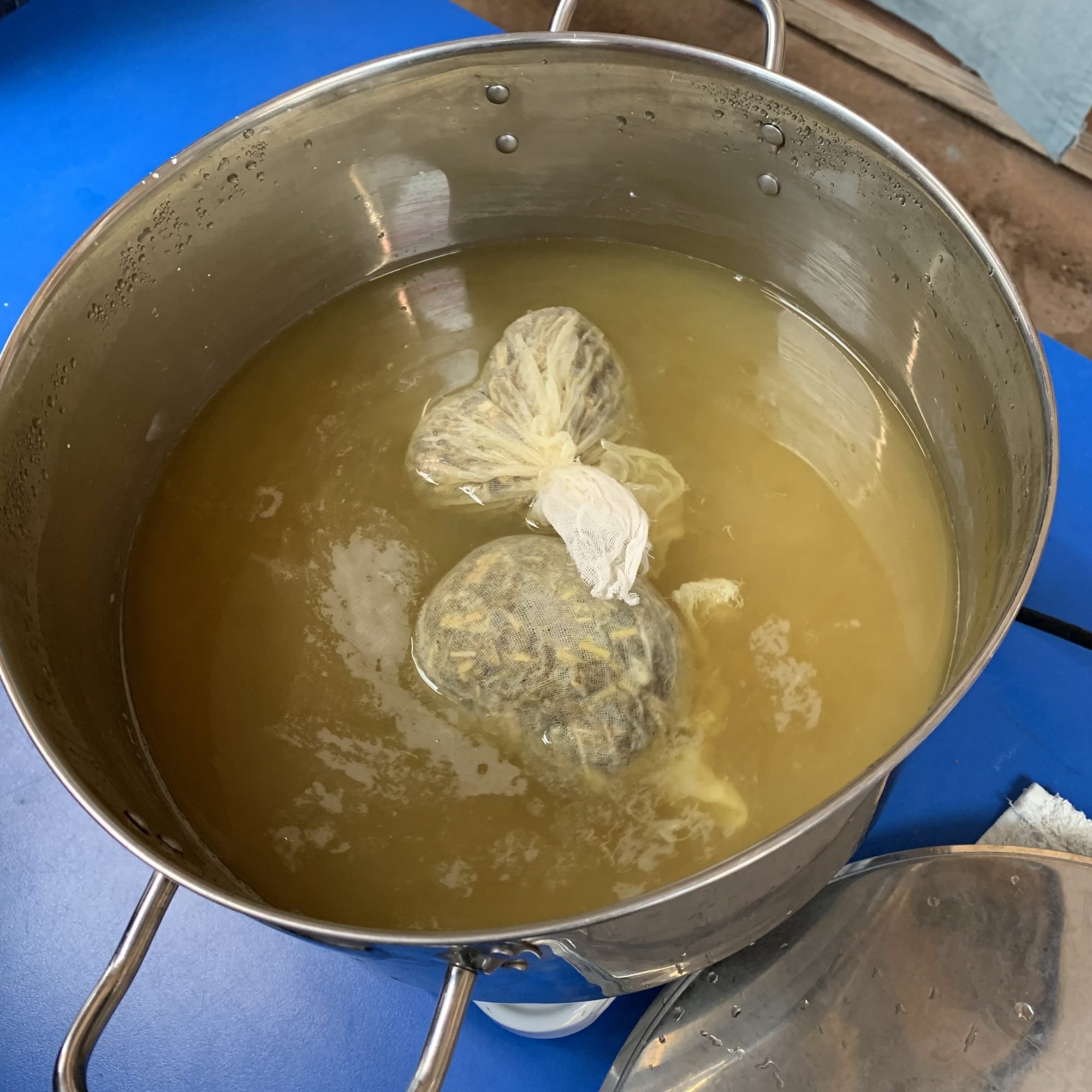 Getting hands on with Natural Dyes - The Loom Shed